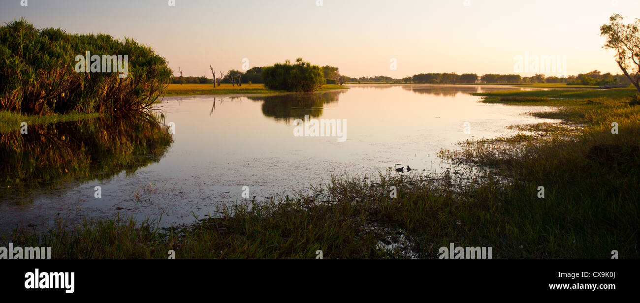 Yellow Water river and wetland, Kakadu National Park, Northern ...