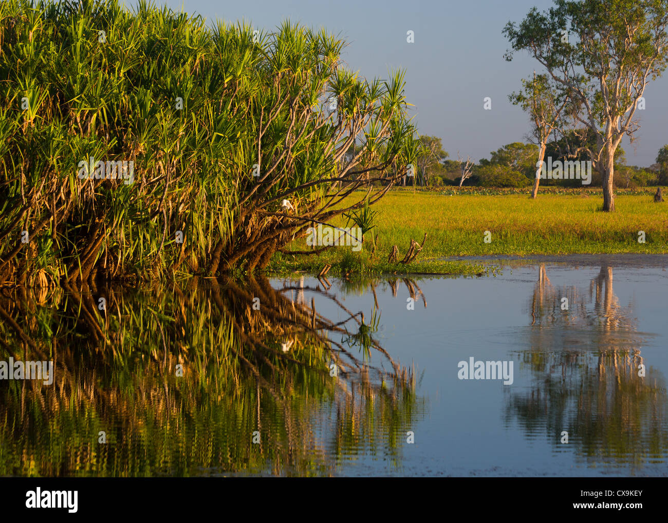 Yellow Water wetland, Kakadu National Park, Northern Territory Stock ...