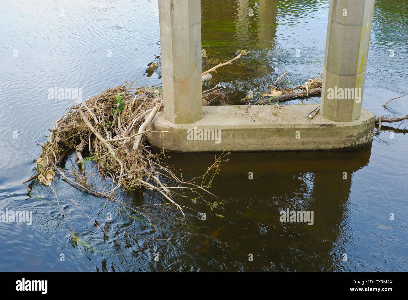 Debris piled against supports of road bridge over River Wye at Hay on ...