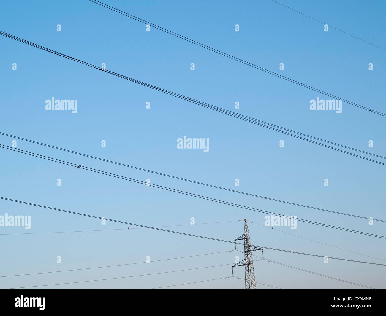 Transmission line hi-res stock photography and images - Alamy