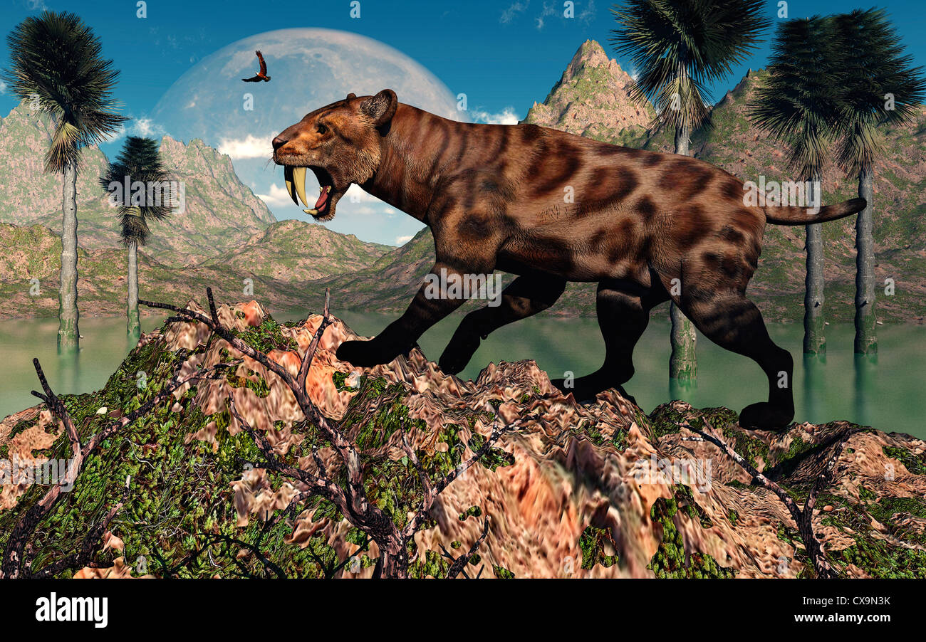 Pleistocene extinction hi-res stock photography and images - Alamy