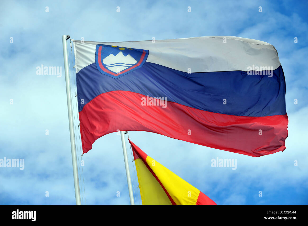Flags of the participating countries during the International ...