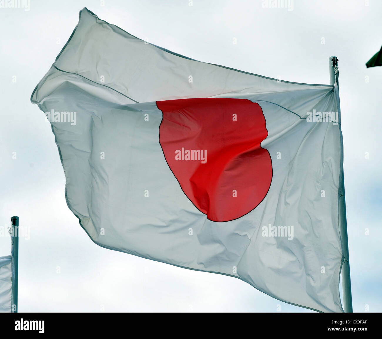 Flags of the participating countries during the International ...