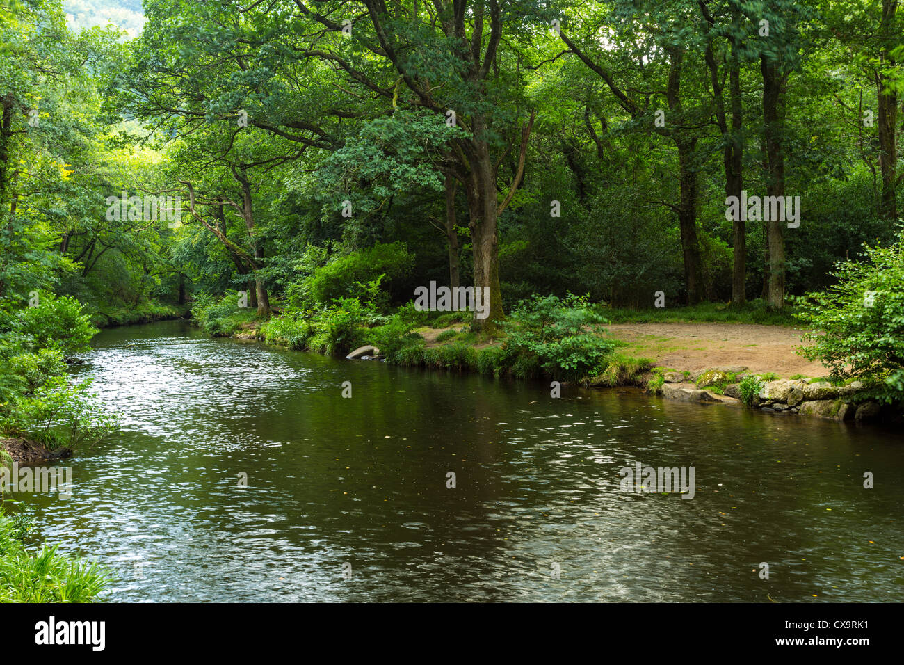 Fingle bridge devon hi-res stock photography and images - Alamy