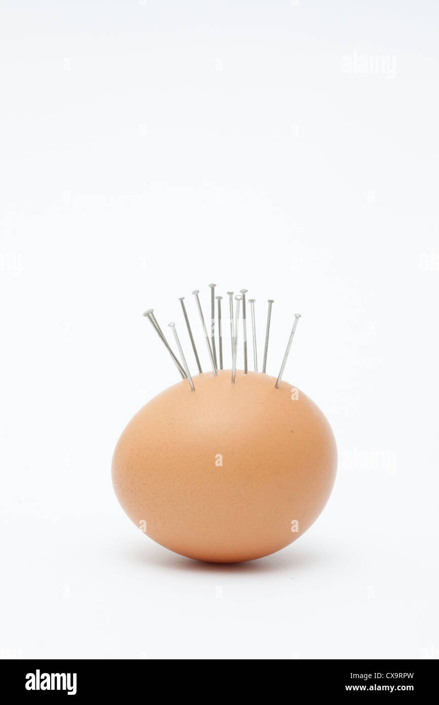 several needles inserted into a chicken egg Stock Photo - Alamy