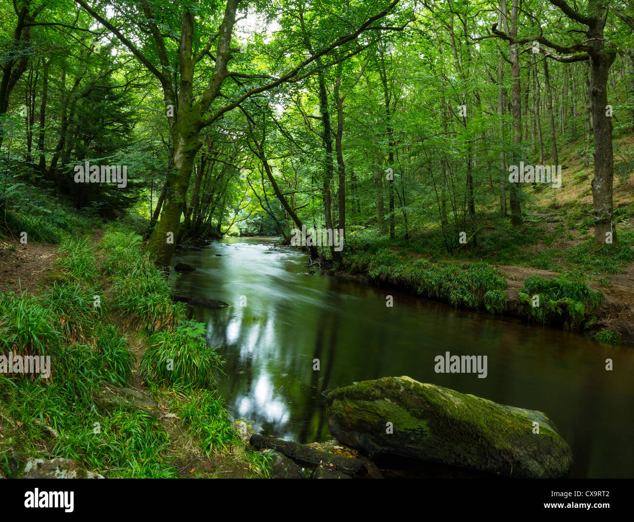 River Teign at Fingle Bridge Devon Stock Photo - Alamy