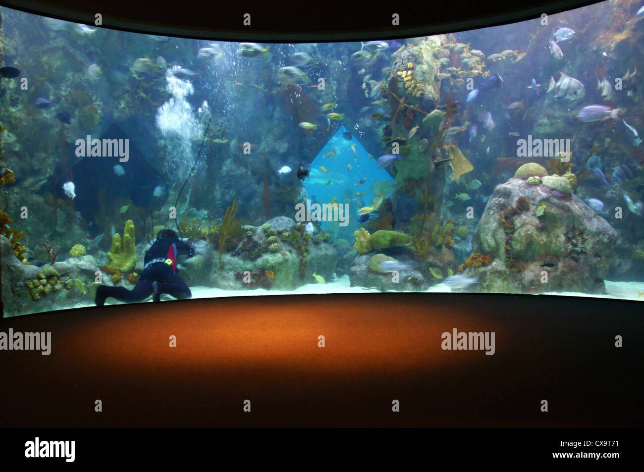 Albuquerque Aquarium High Resolution Stock Photography and Images - Alamy