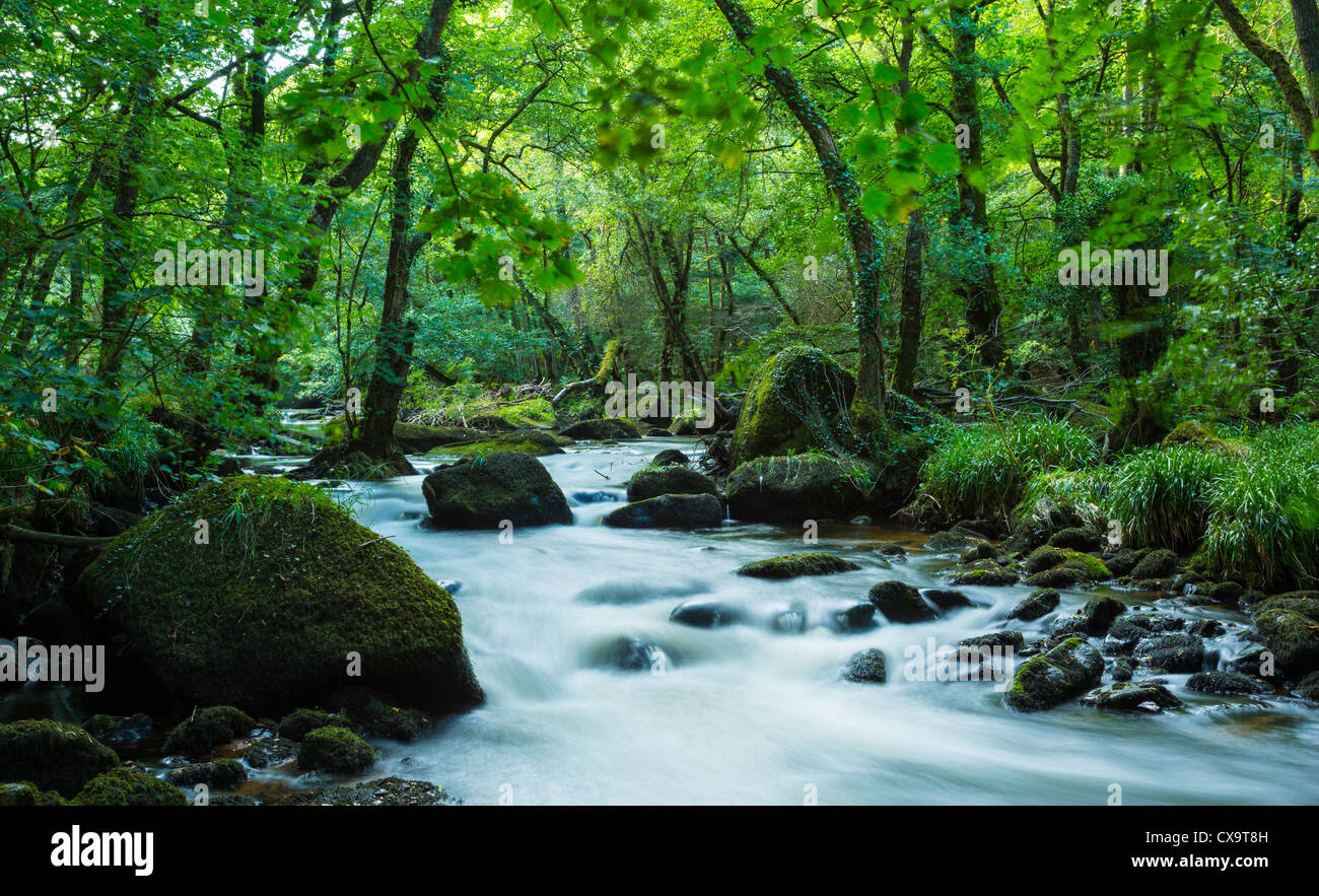 Fingle bridge devon hi-res stock photography and images - Alamy