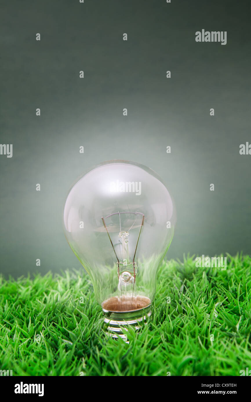 lightbulb on green grass with green background Stock Photo - Alamy