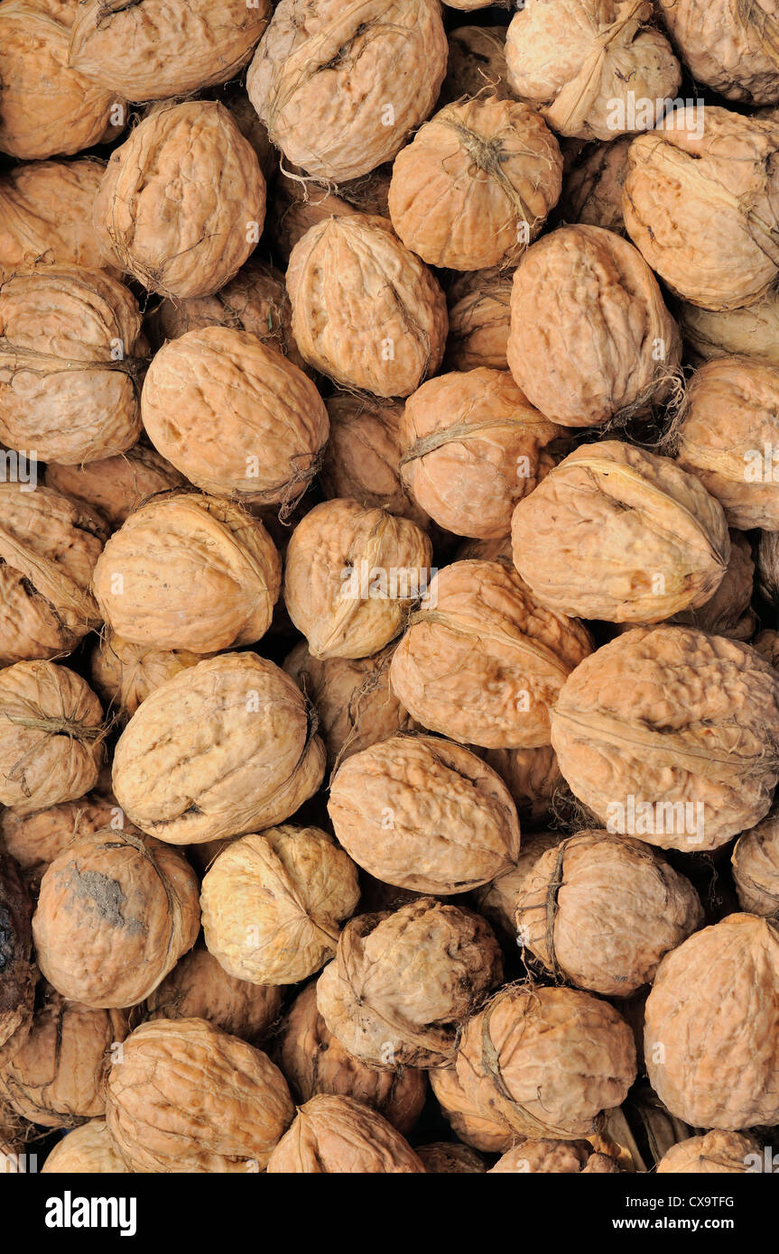 Macro background with a lot of fresh walnut Stock Photo - Alamy