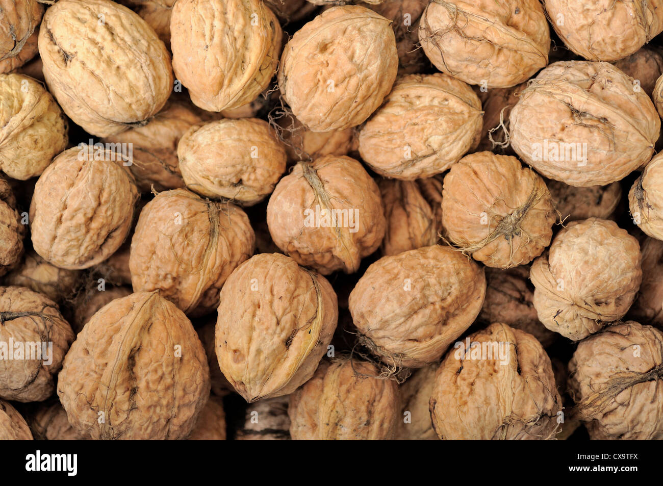 Macro background with a lot of fresh walnut Stock Photo - Alamy