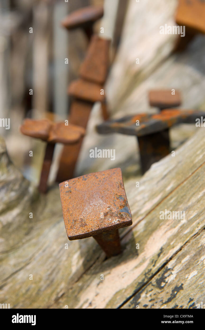 Old rusty nails in the wood Stock Photo - Alamy