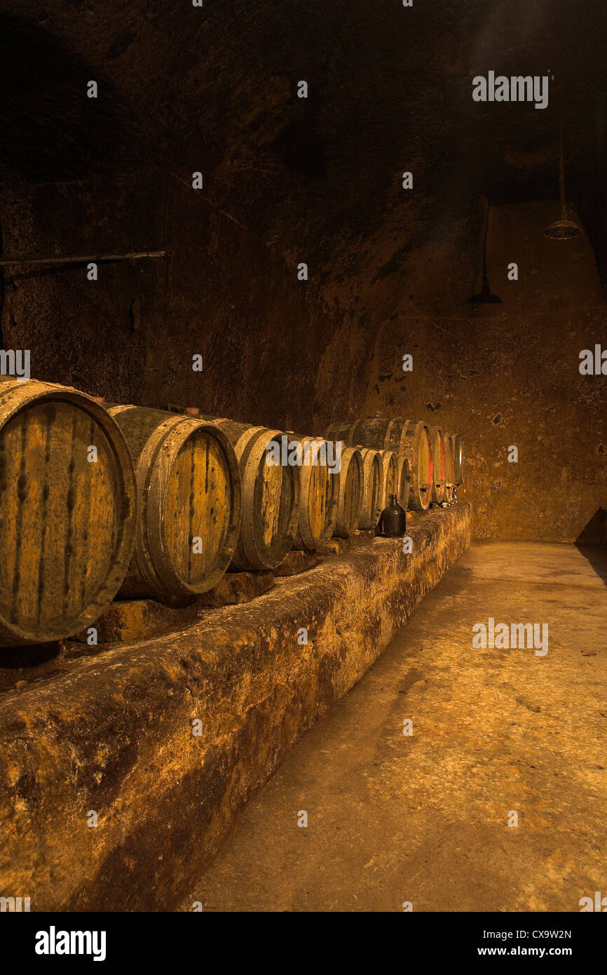 underground Ancient wine cellar with wood barrels Stock Photo - Alamy