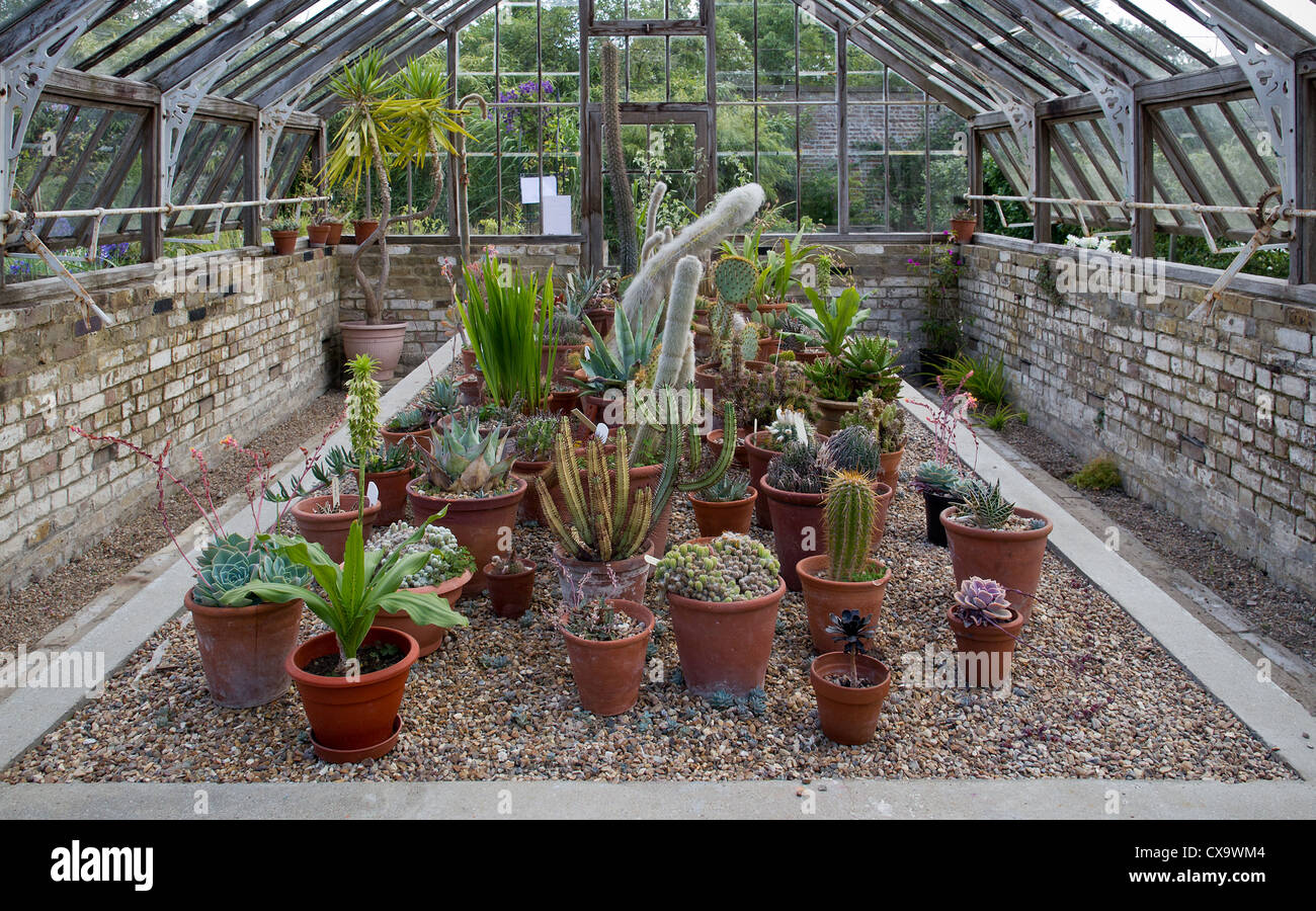 Quex House and Gardens Birchington Kent England UK Cacti Cactus House ...