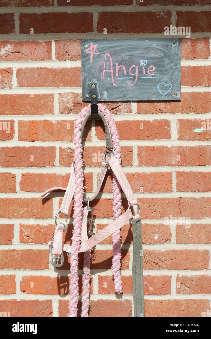 Pink color coloured head collar on a hook outside a pony's stable Stock ...