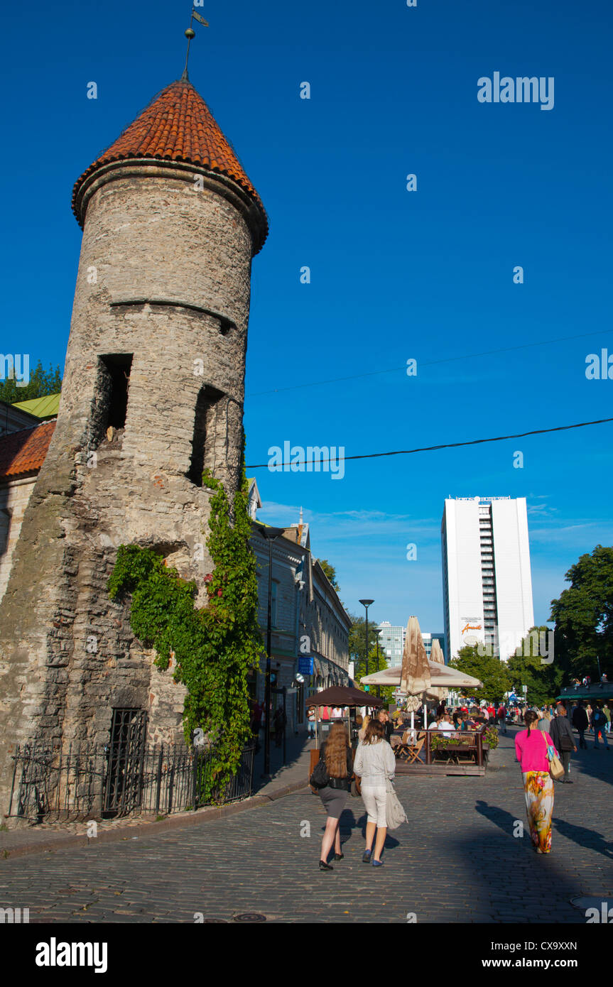 Viru Värav tower Viru street Vanalinn the old town Tallinn Estonia ...