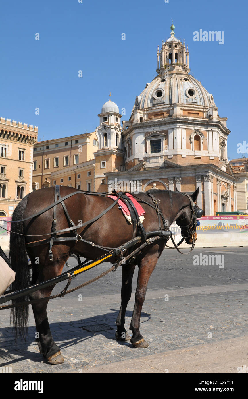 Horse and carriage in the historic centre of Rome, Italy Stock Photo ...