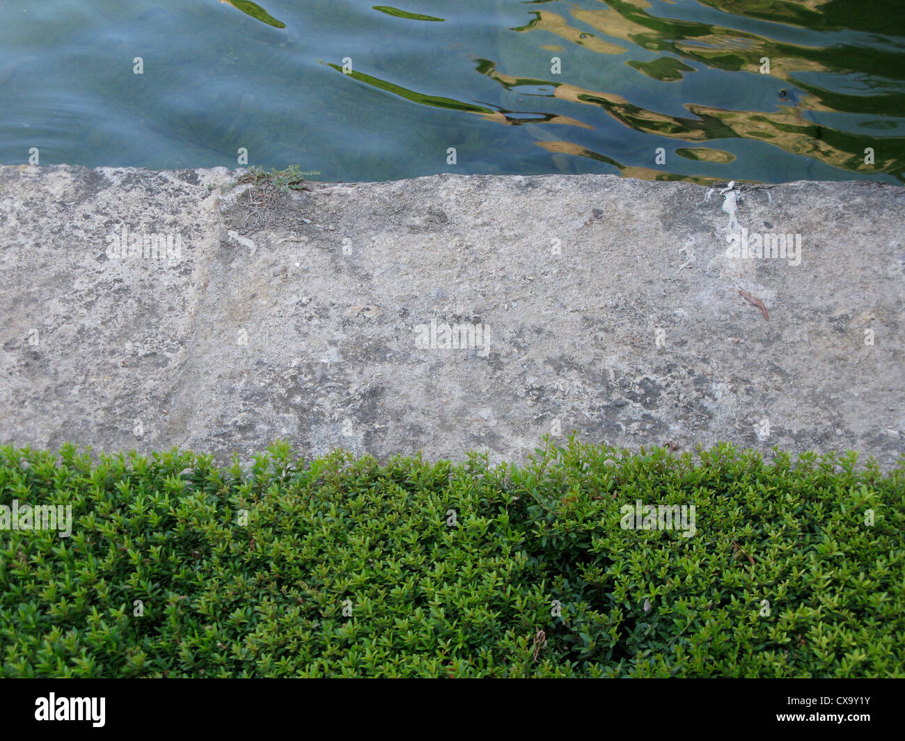 Myrtle hedge hi-res stock photography and images - Alamy