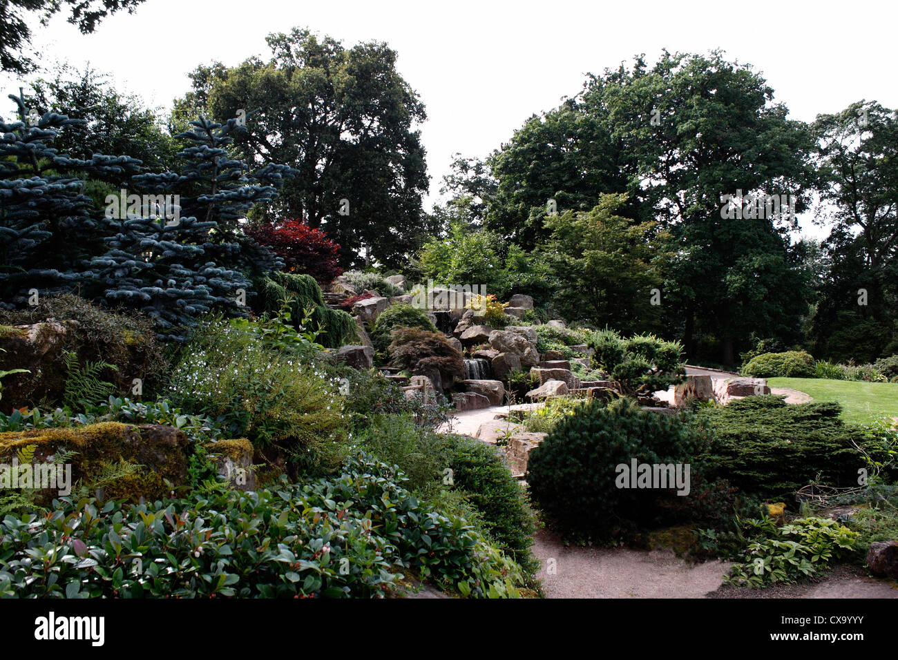 THE TERRACED ROCK GARDEN AT RHS WISLEY Stock Photo - Alamy