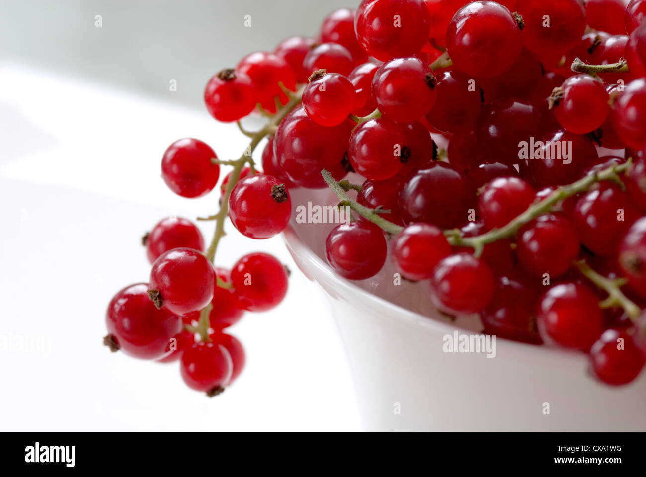 Close up white currants hi-res stock photography and images - Alamy