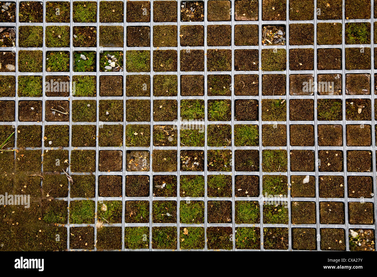 Moss structure hi-res stock photography and images - Alamy