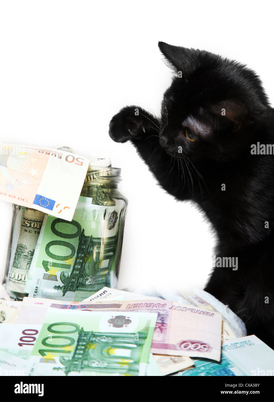 The black kitten plays with money Stock Photo - Alamy
