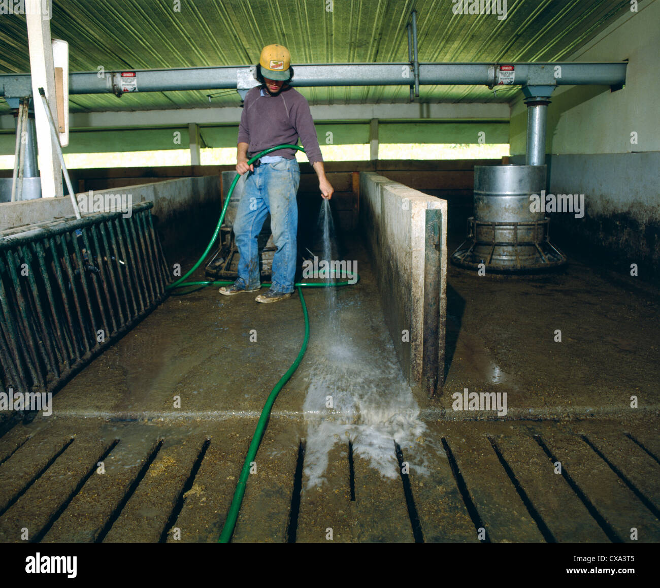 Pig wash hi-res stock photography and images - Alamy