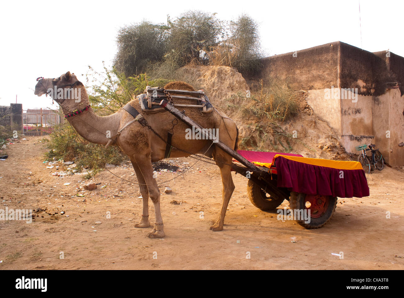Use Camel Cart