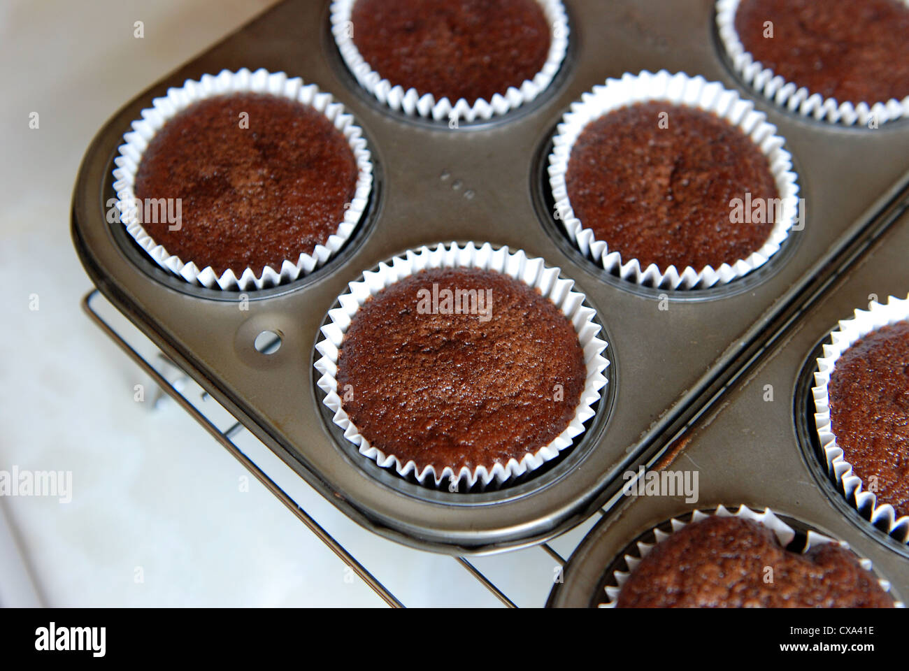 Chocolate cupcakes cooling in the tin Stock Photo - Alamy