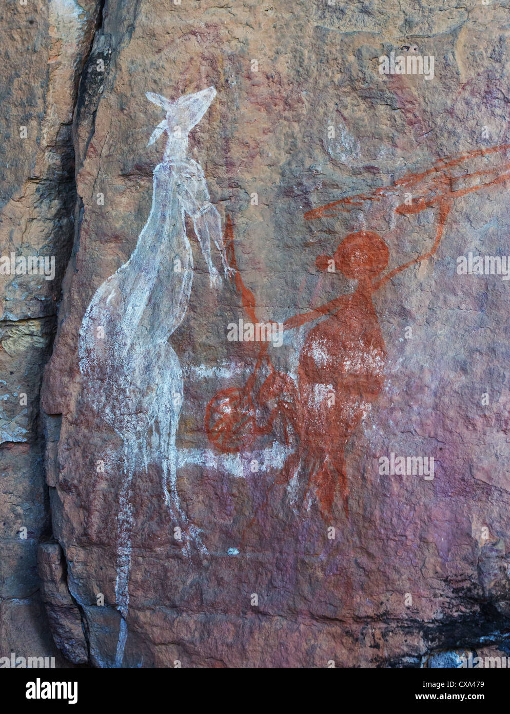 Aboriginal rock art of a kangaroo, Anbangbang Gallery, Nourlangie, Kakadu National Park ...