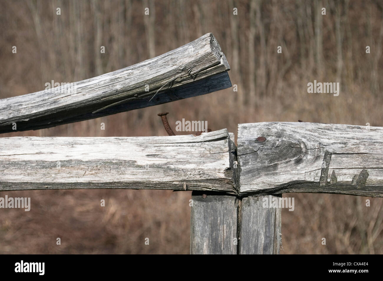 Broken Wooden Fence with Rusty Nail Stock Photo - Alamy