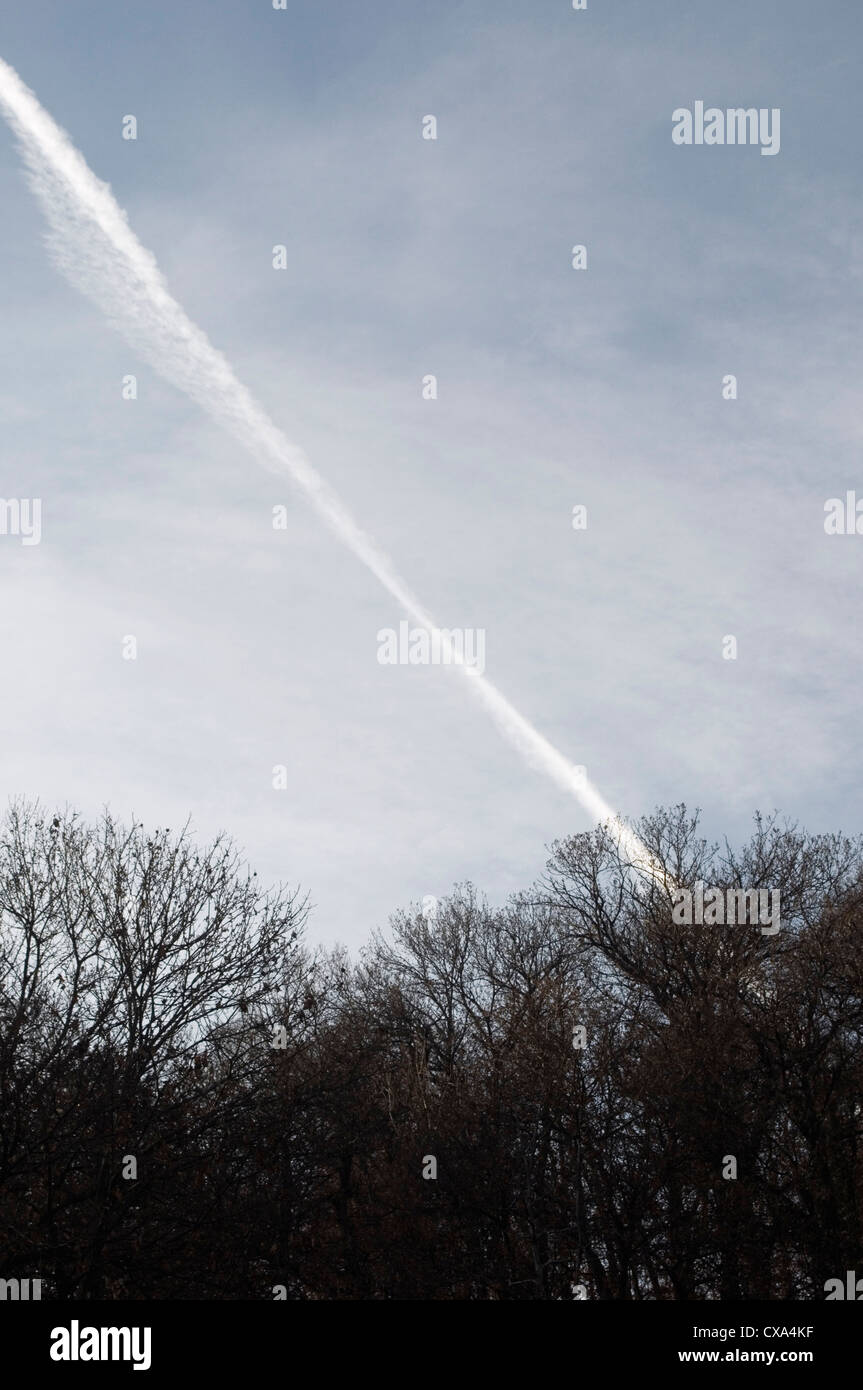 Jet stream and trees Stock Photo - Alamy