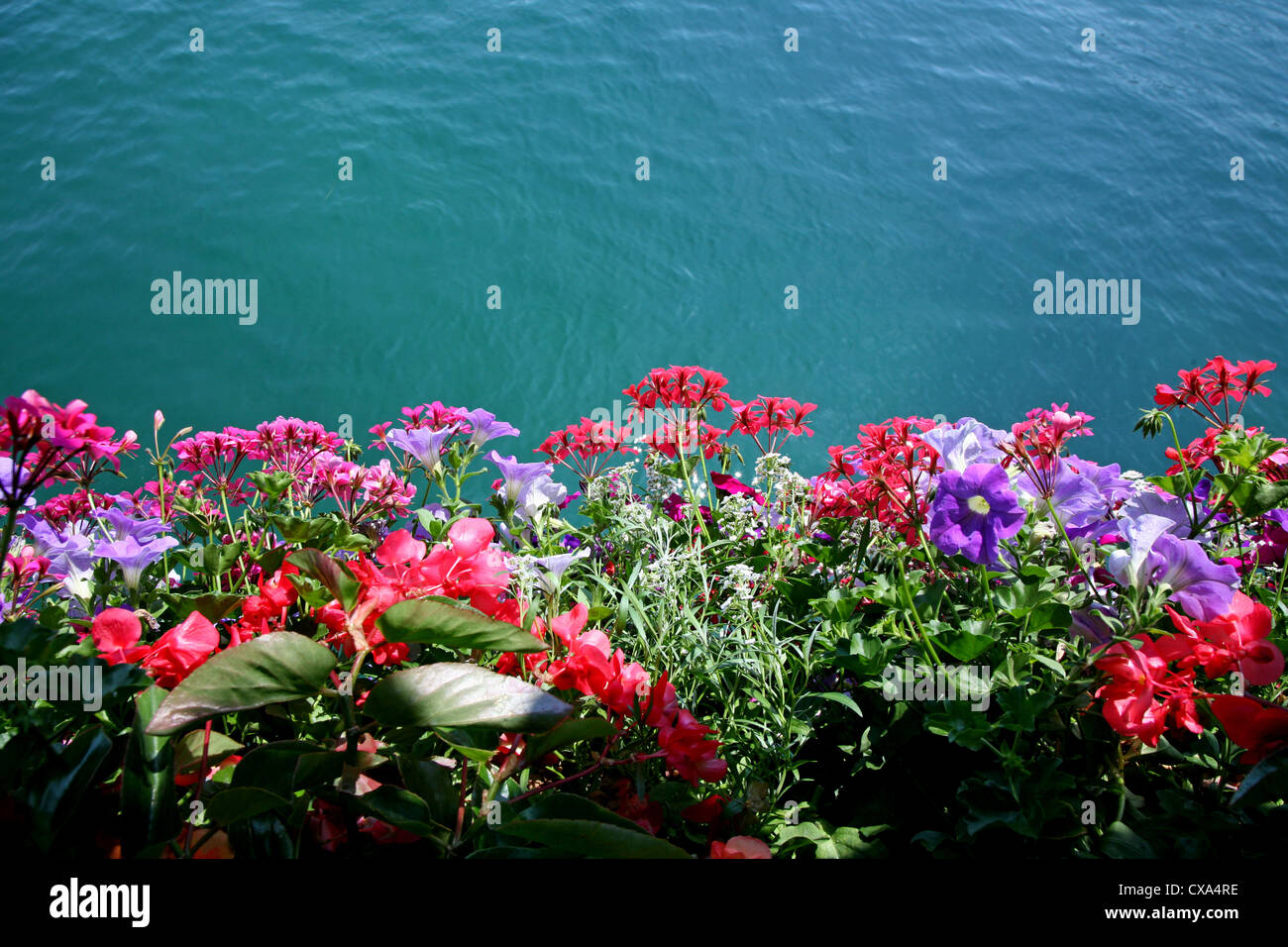 Flower decoration hi-res stock photography and images - Alamy