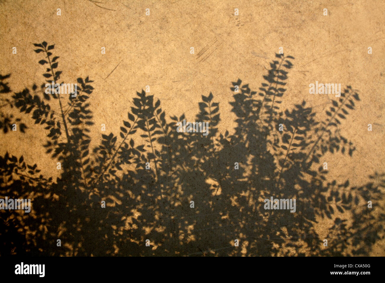 Light and shade pattern hi-res stock photography and images - Alamy