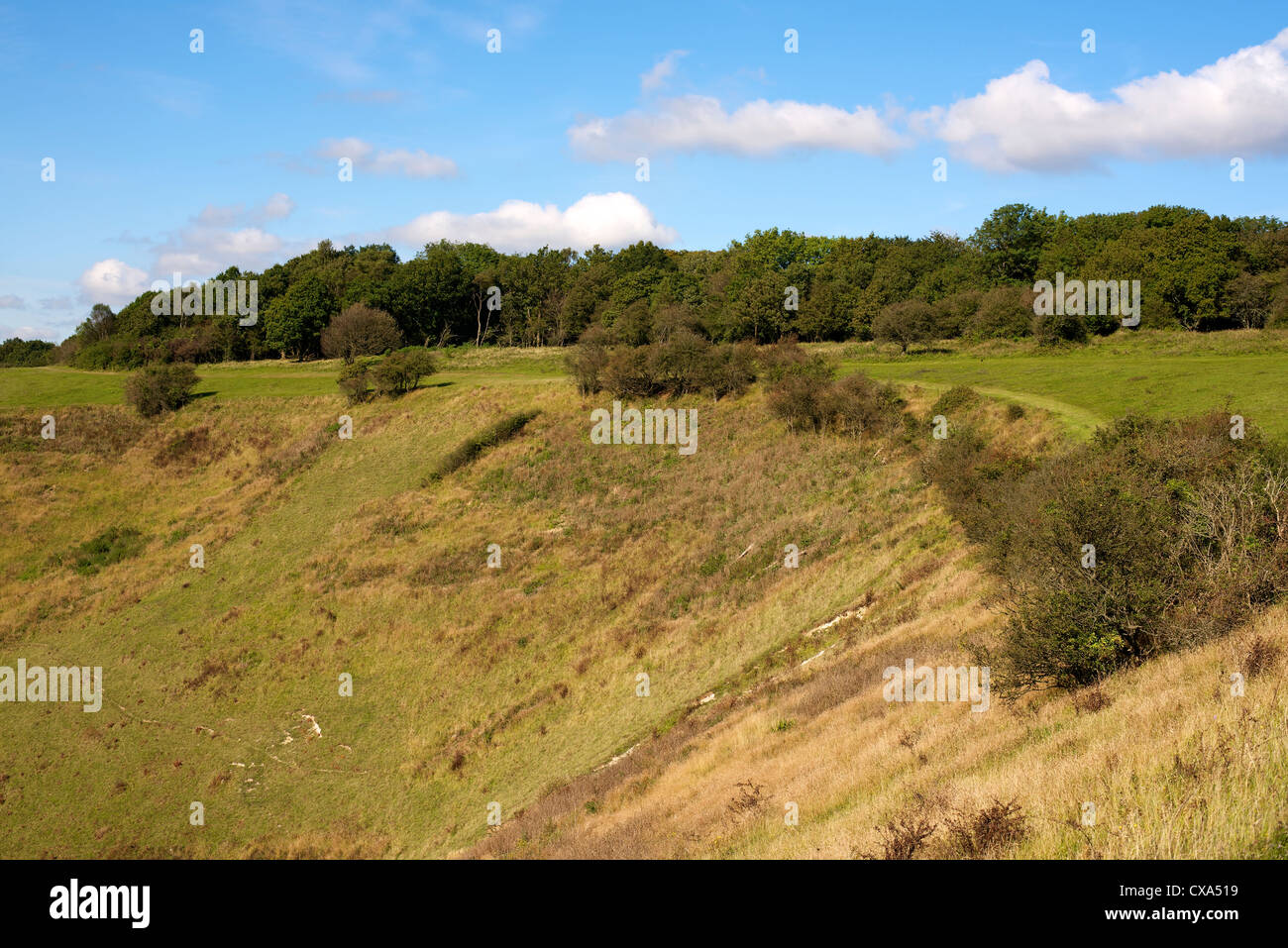 The chalk scarp at Colley Hill in Reigate looking west towards Box Hill ...