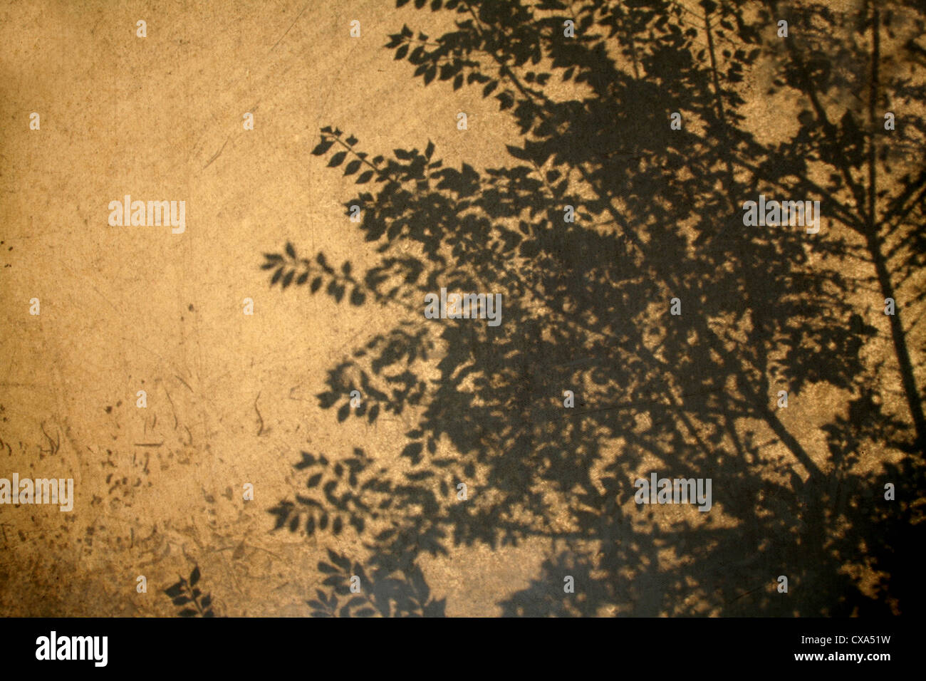 Light and shade Stock Photo - Alamy