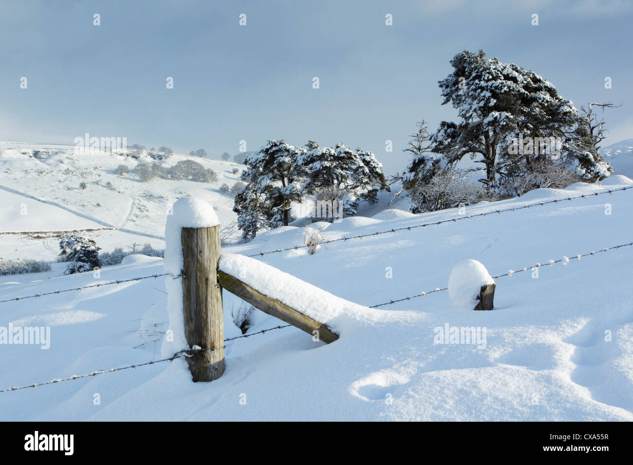 Wintry scene of snow covered trees and moors looking east along Kildale ...