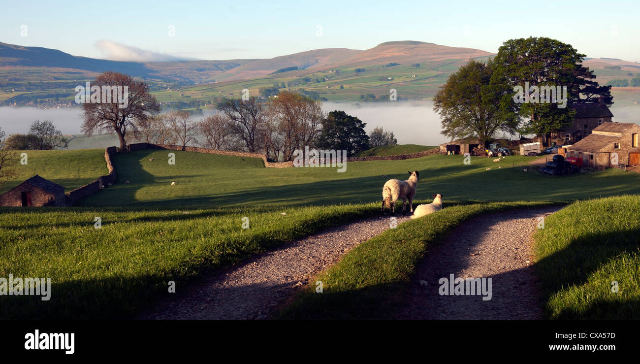 Yorkshire farm house hi-res stock photography and images - Alamy