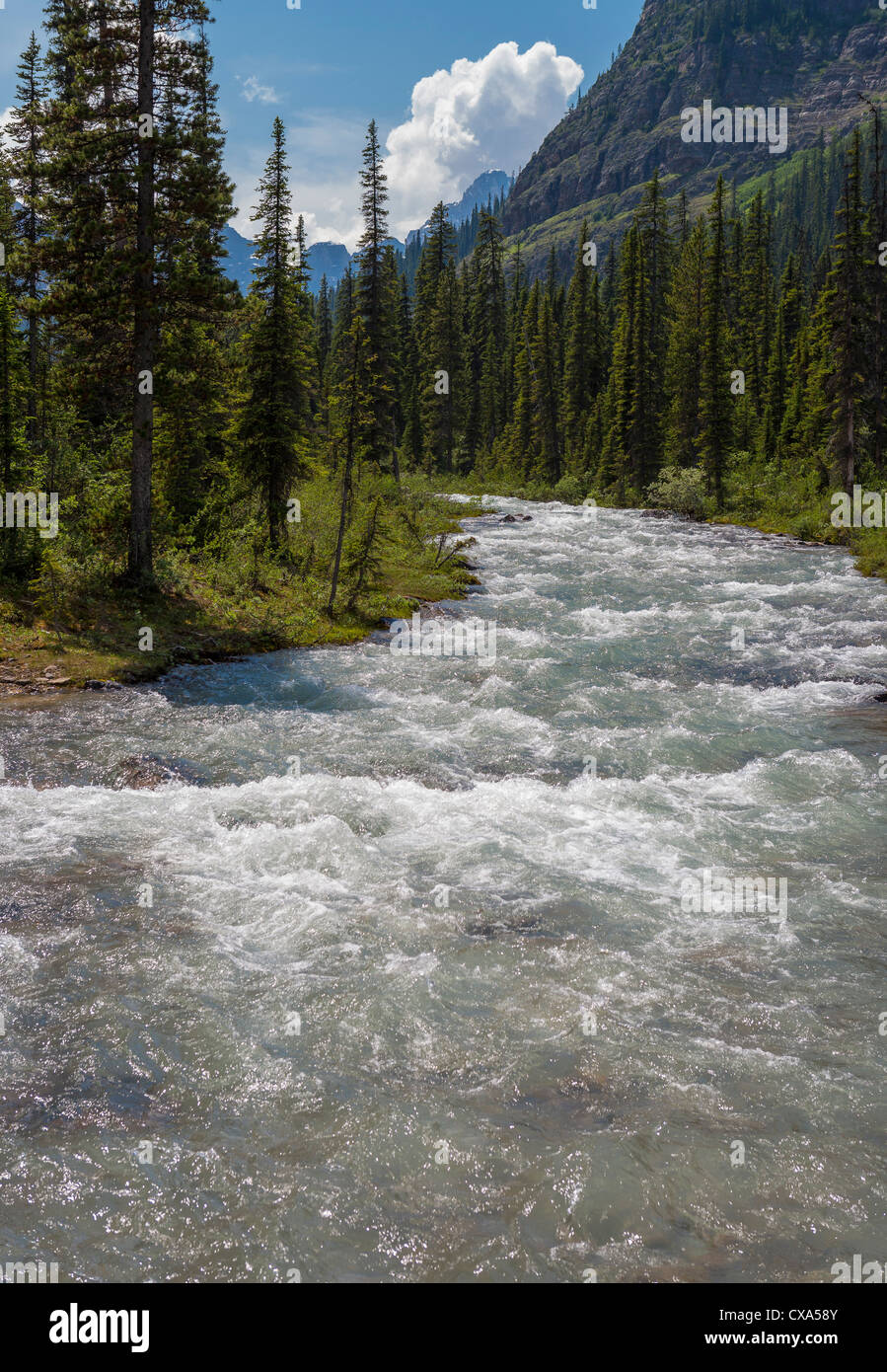 ALBERTA, CANADA - Paradise Creek in Banff National Park Stock Photo - Alamy