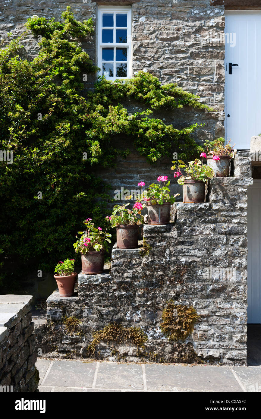 Traditional barn steps attached to a seventeenth century longhouse ...