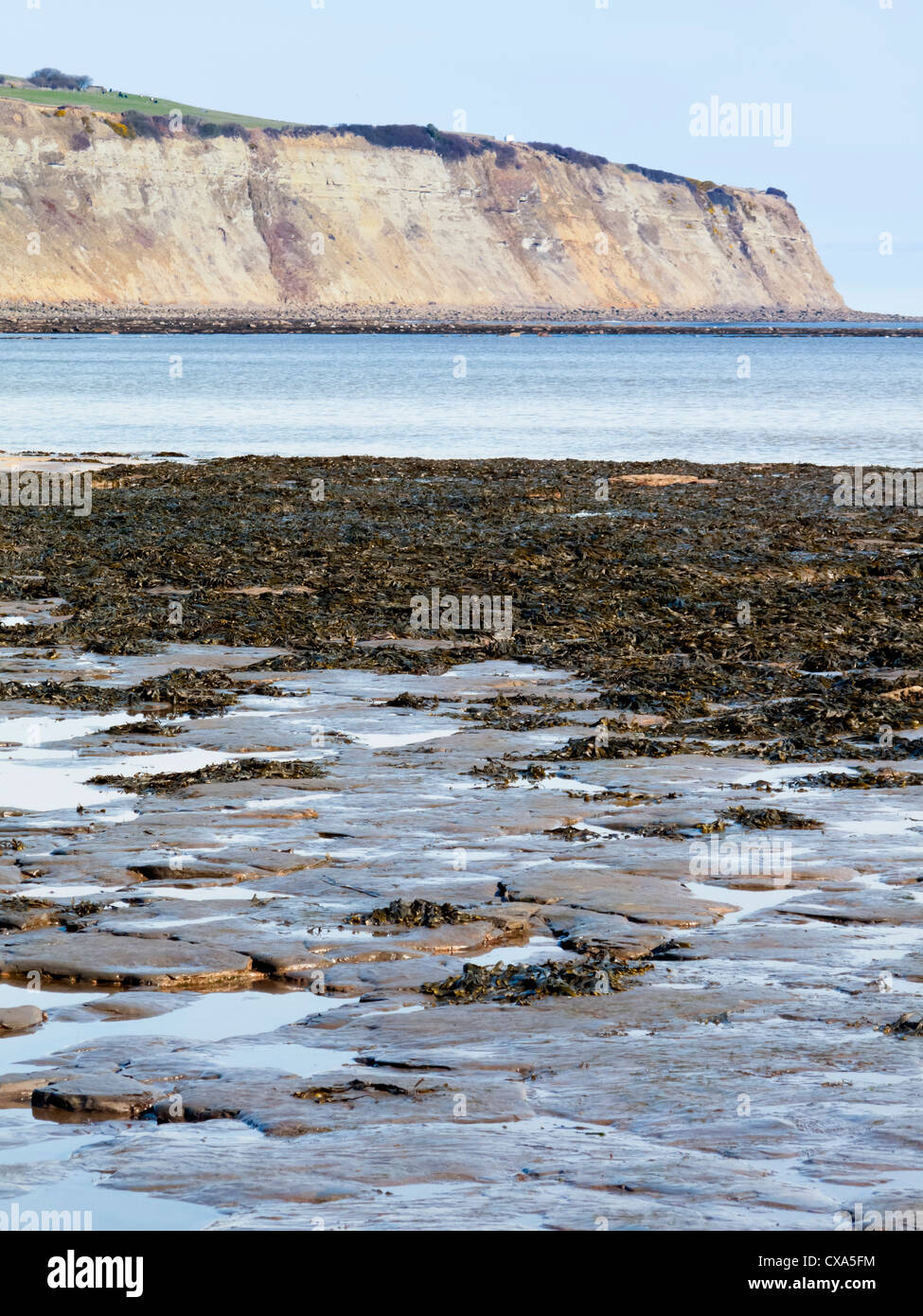 The beach at Boggle Hole near Robin Hood's Bay on the Cleveland Way and ...