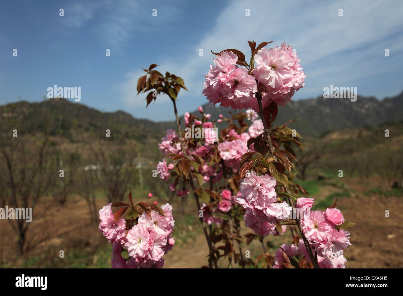 View of the Mutianyu valley Mountain range, near xinying village ...