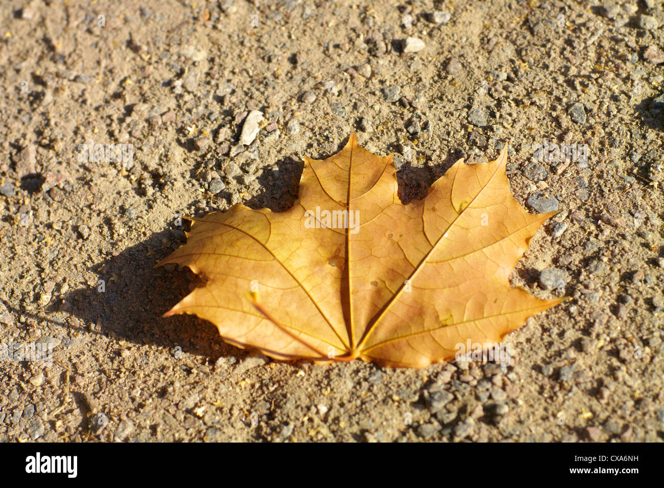 Earth and leaf hi-res stock photography and images - Alamy
