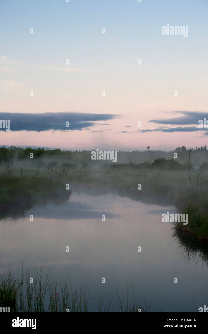 Foggy marshland and water with early morning sky Stock Photo - Alamy