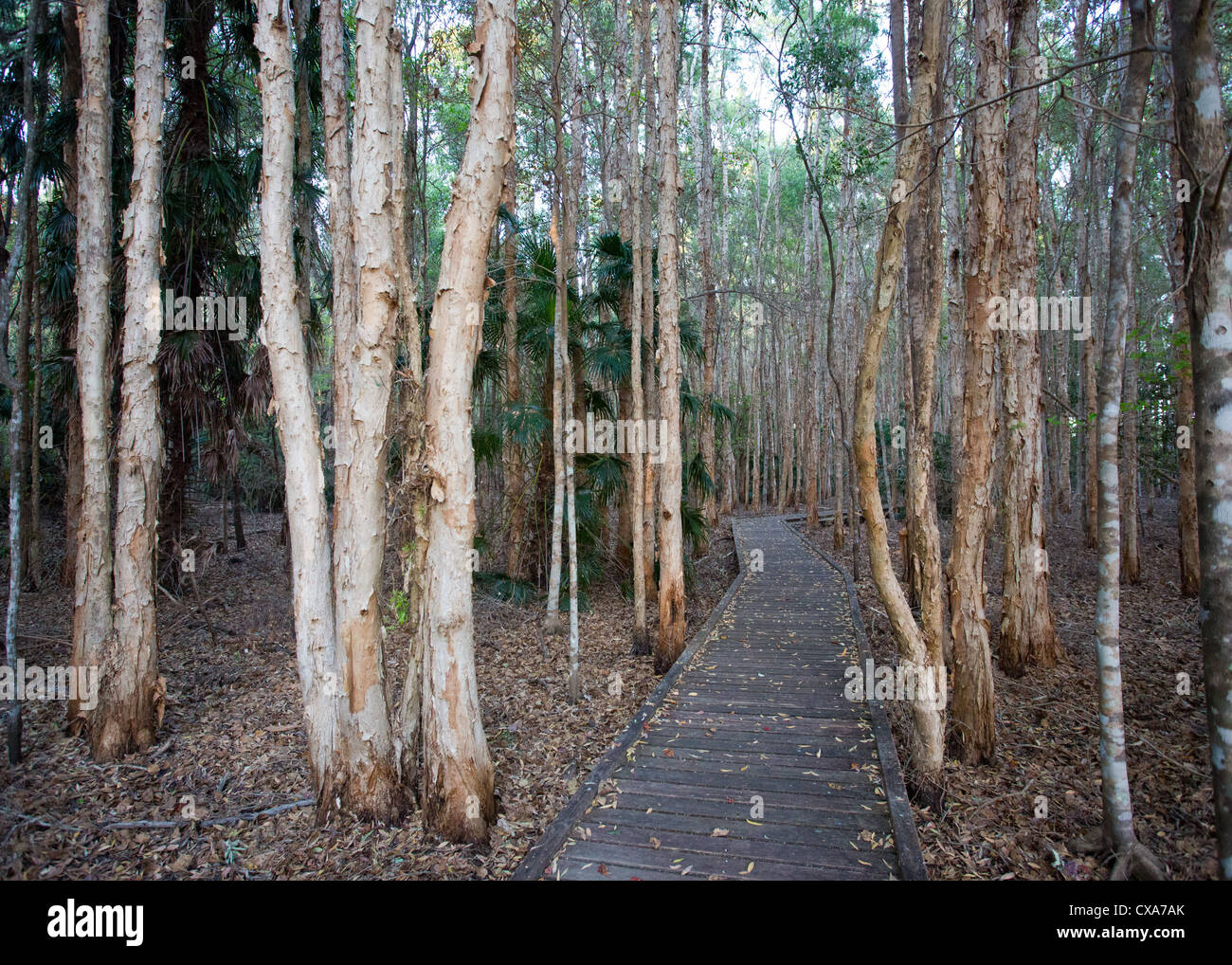Kakadu hi-res stock photography and images - Alamy