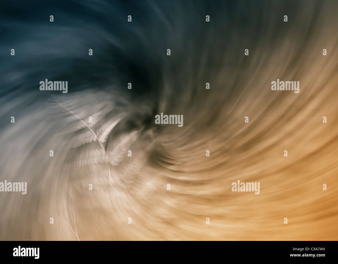 Various toned and abstract circular swirl. The fern plant is barely ...