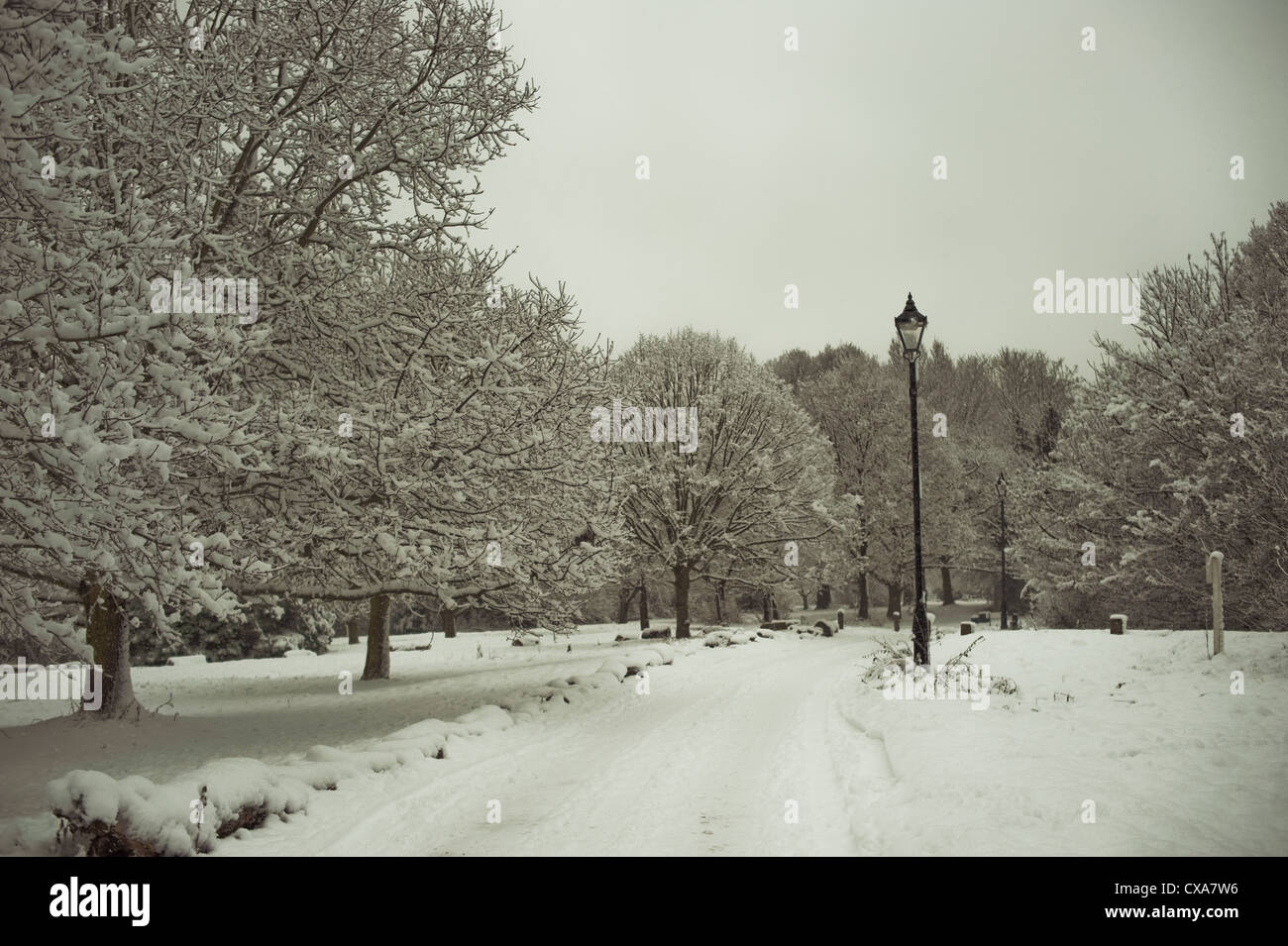 Country scene british winter hi-res stock photography and images - Alamy