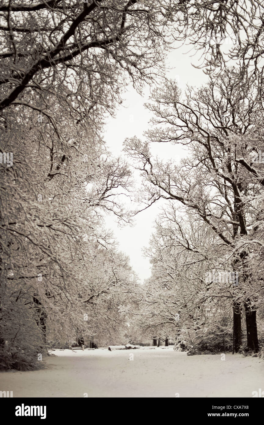 English country snow scene hi-res stock photography and images - Alamy