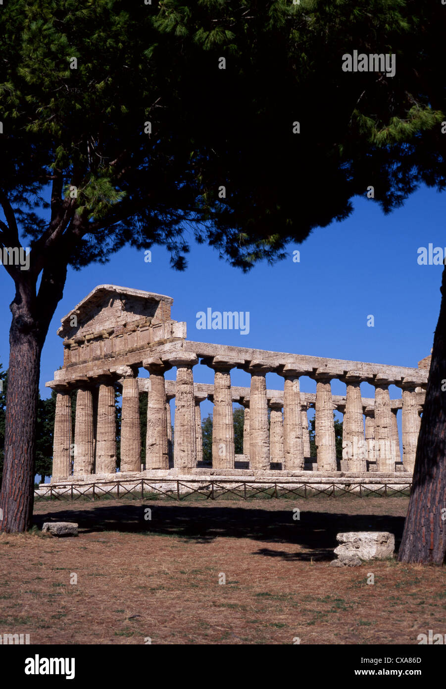 Temple of Ceres seen through trees Paestum Ancient Greek site Campania ...