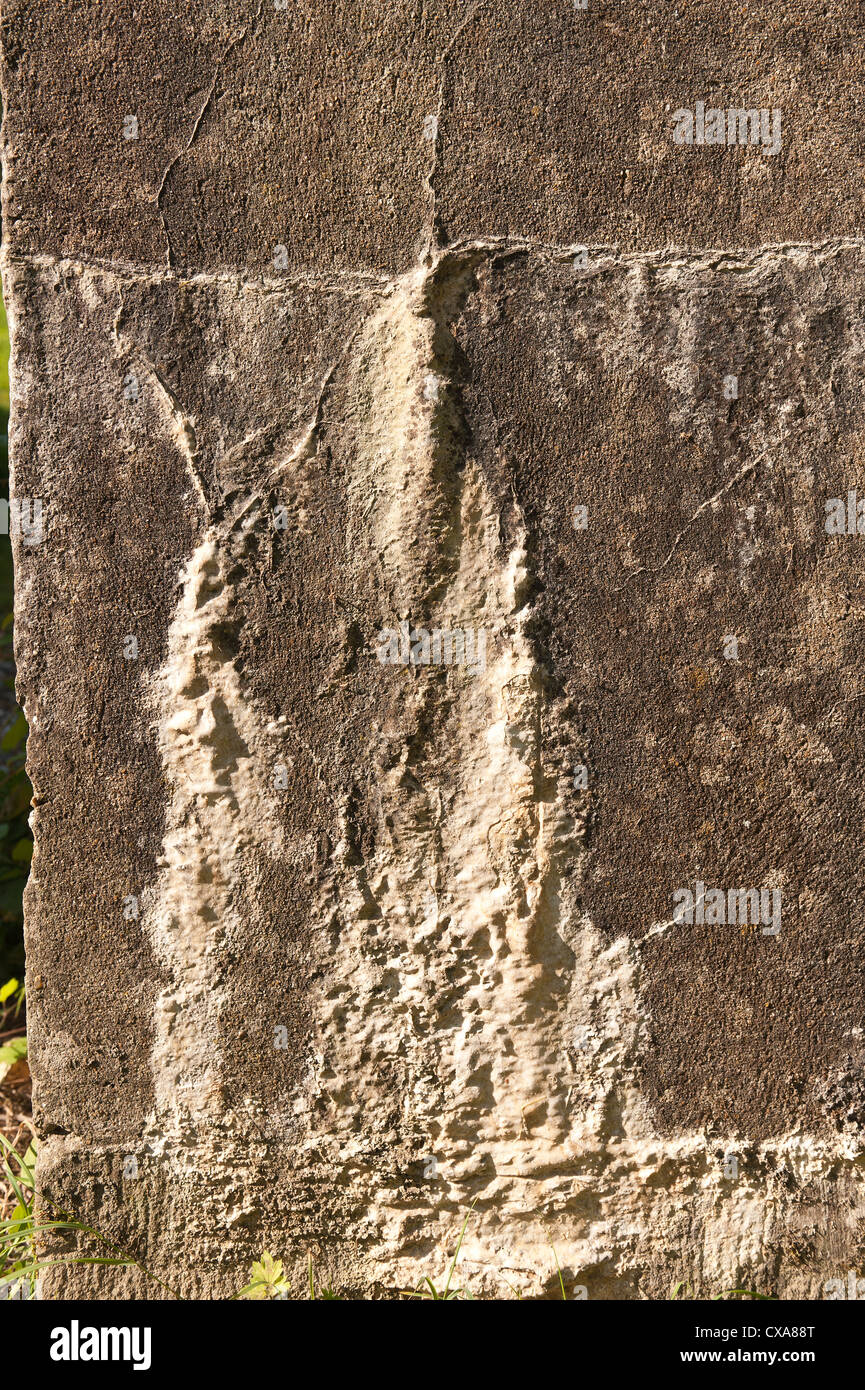 Long term structural damage caused from leaking water building up ...